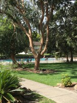 Piscina externa