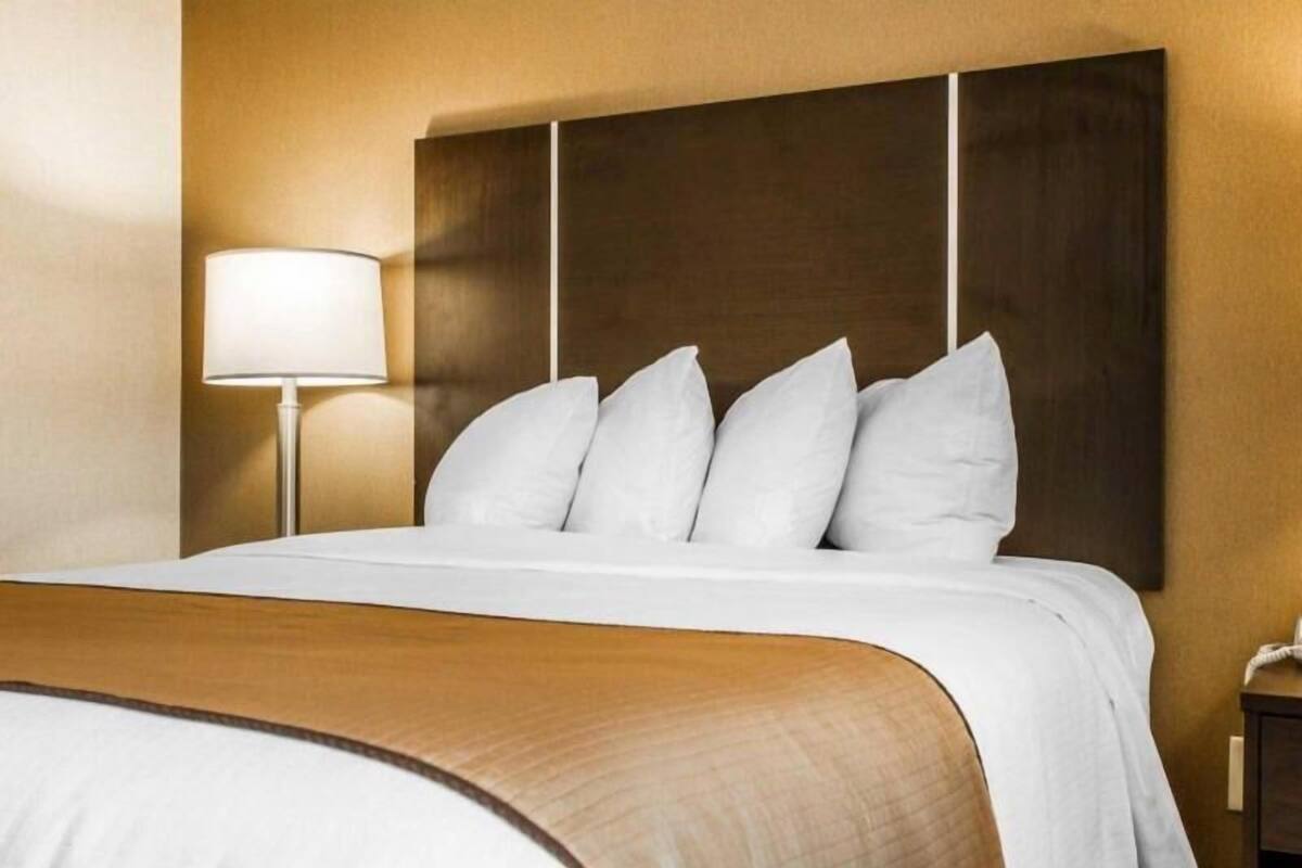 Quarto de hotel com uma cama grande, luminária de cabeceira e cabeceira escura.