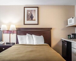 Quarto de hotel com cama, luminárias de cabeceira, um quadro na parede, micro-ondas e cafeteira.