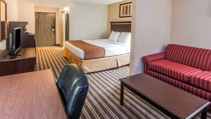 Quarto de hotel com uma cama, um sofá listrado de vermelho, uma mesa de madeira, uma TV e uma escrivaninha.