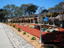 Área da propriedade