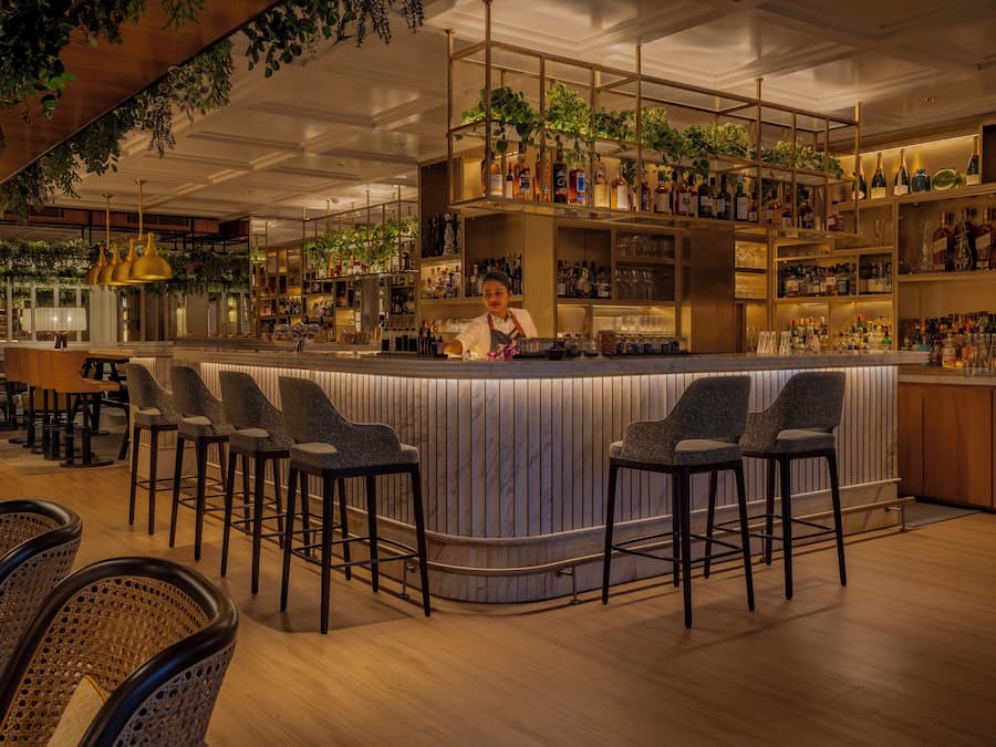Uma área de bar com balcão curvo, banquetas, prateleiras com garrafas e plantas penduradas.