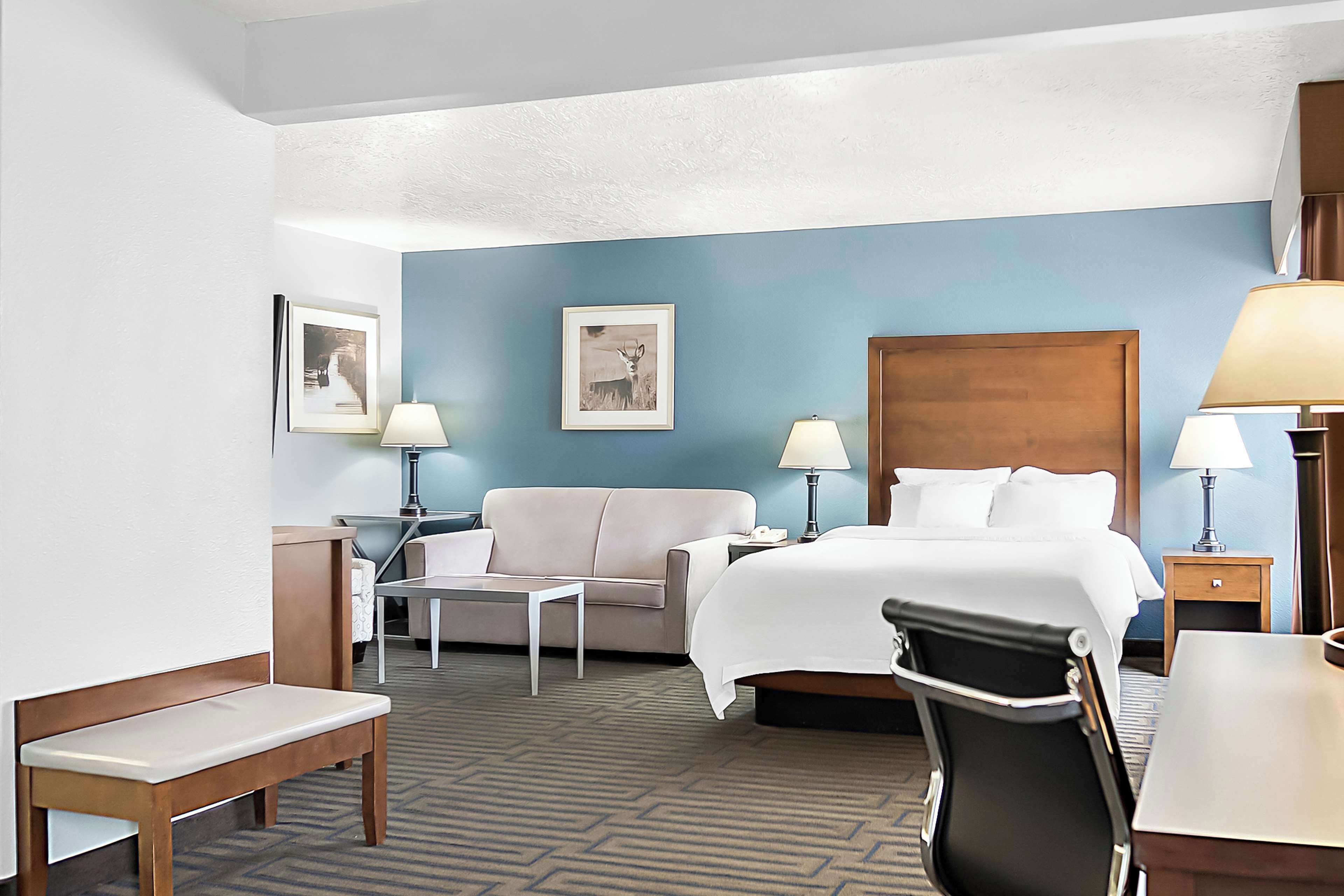 Suite, 1 cama queen-size, acessível, não fumadores (with Sofabed) | Roupa de alta qualidade, secretária 