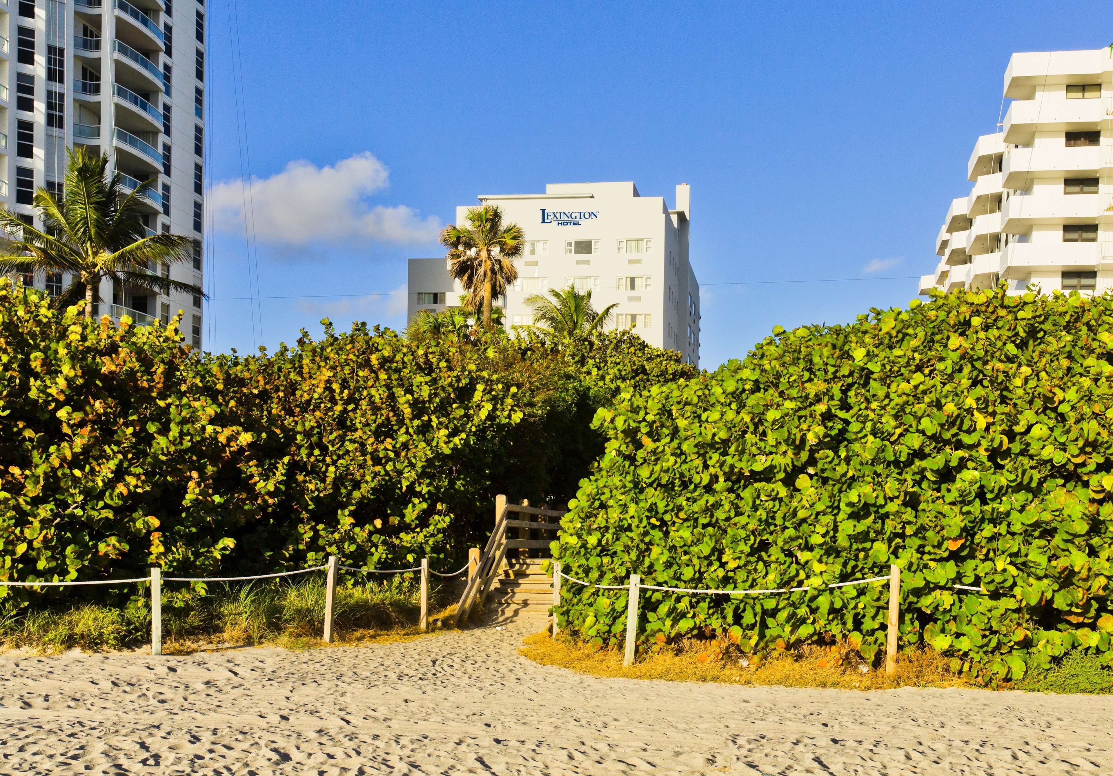 Lexington Hotel Miami Florida Lexington By Hotel RL Miami Beach, Miami