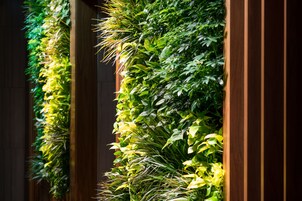 Entrada da propriedade