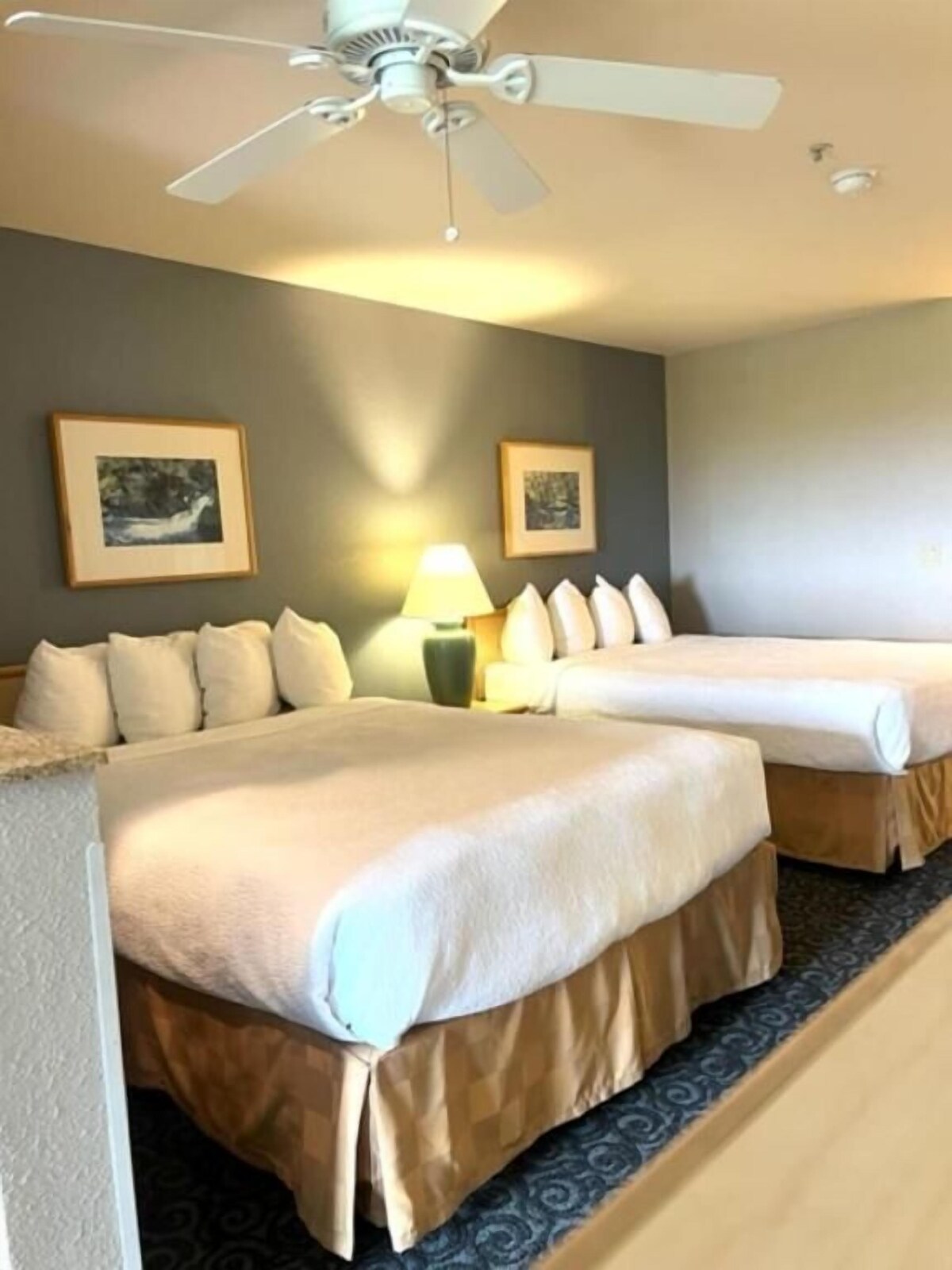 Lighthouse Suites Inn Reviews, Deals & Photos 2023 - Expedia