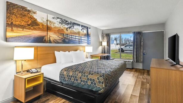 Quarto de hotel com uma cama grande, uma escrivaninha, uma televisão e vista para um parque.