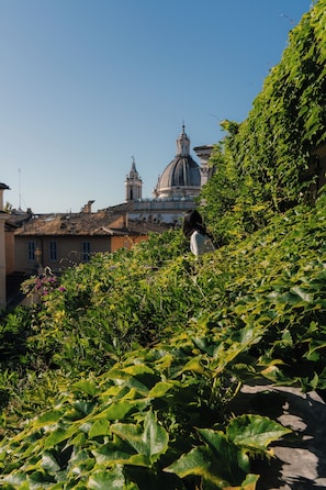 Vista de um edifício com cúpula e campanário, cercado por vegetação exuberante.