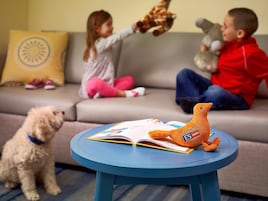 Uma sala de estar com um sofá, uma mesinha redonda com um livro e um brinquedo de pelúcia, e um cachorro.
