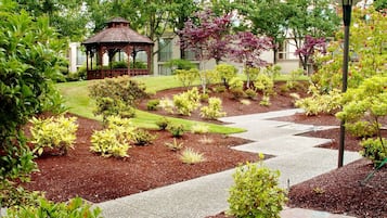 Jardim