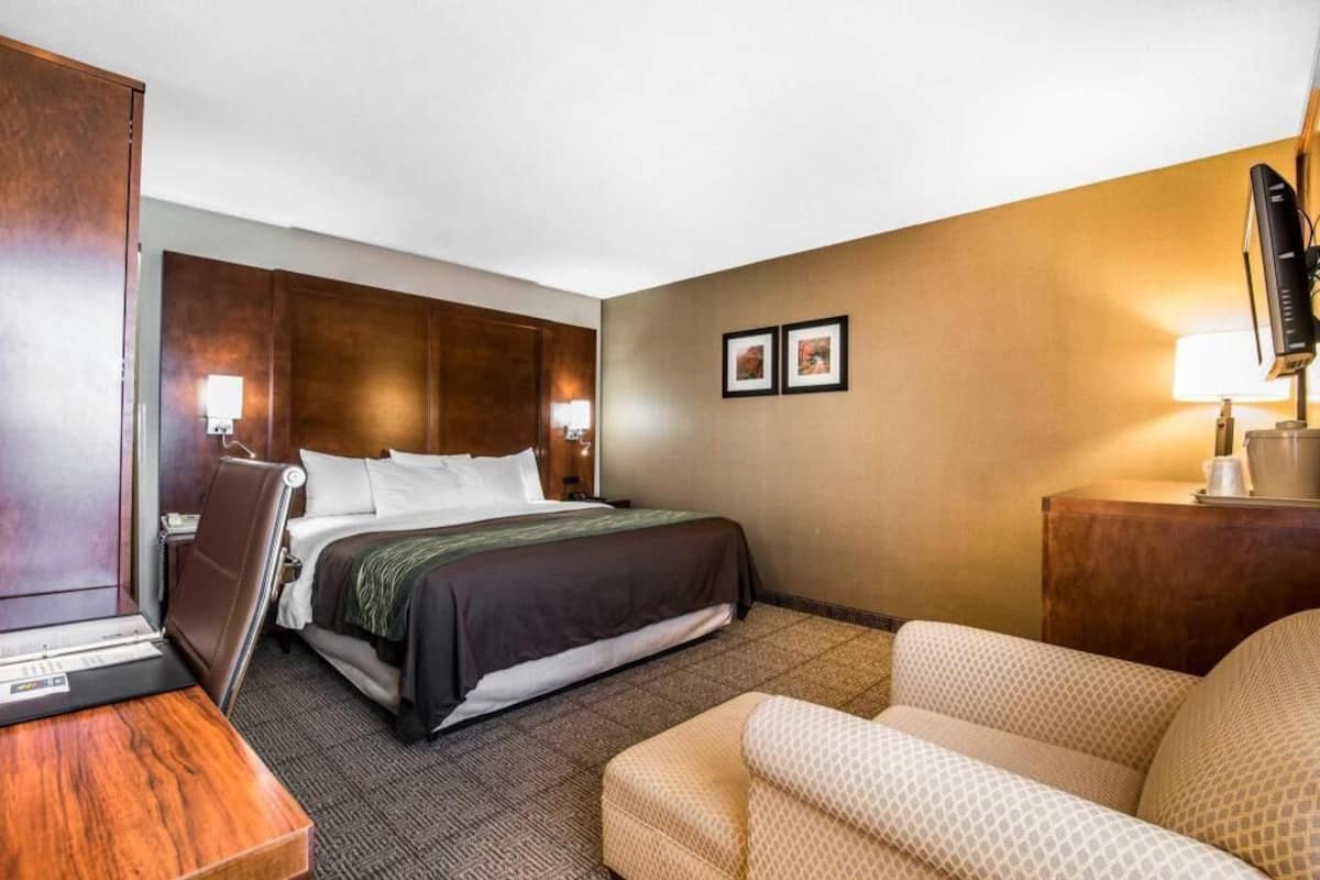 Quarto de hotel com cama, escrivaninha, poltrona, sofá, televisão e duas imagens emolduradas na parede.