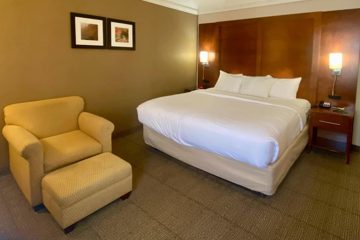 Quarto Standard, 1 cama king-size, não fumadores | Secretária, secretária adequada para computadores portáteis 