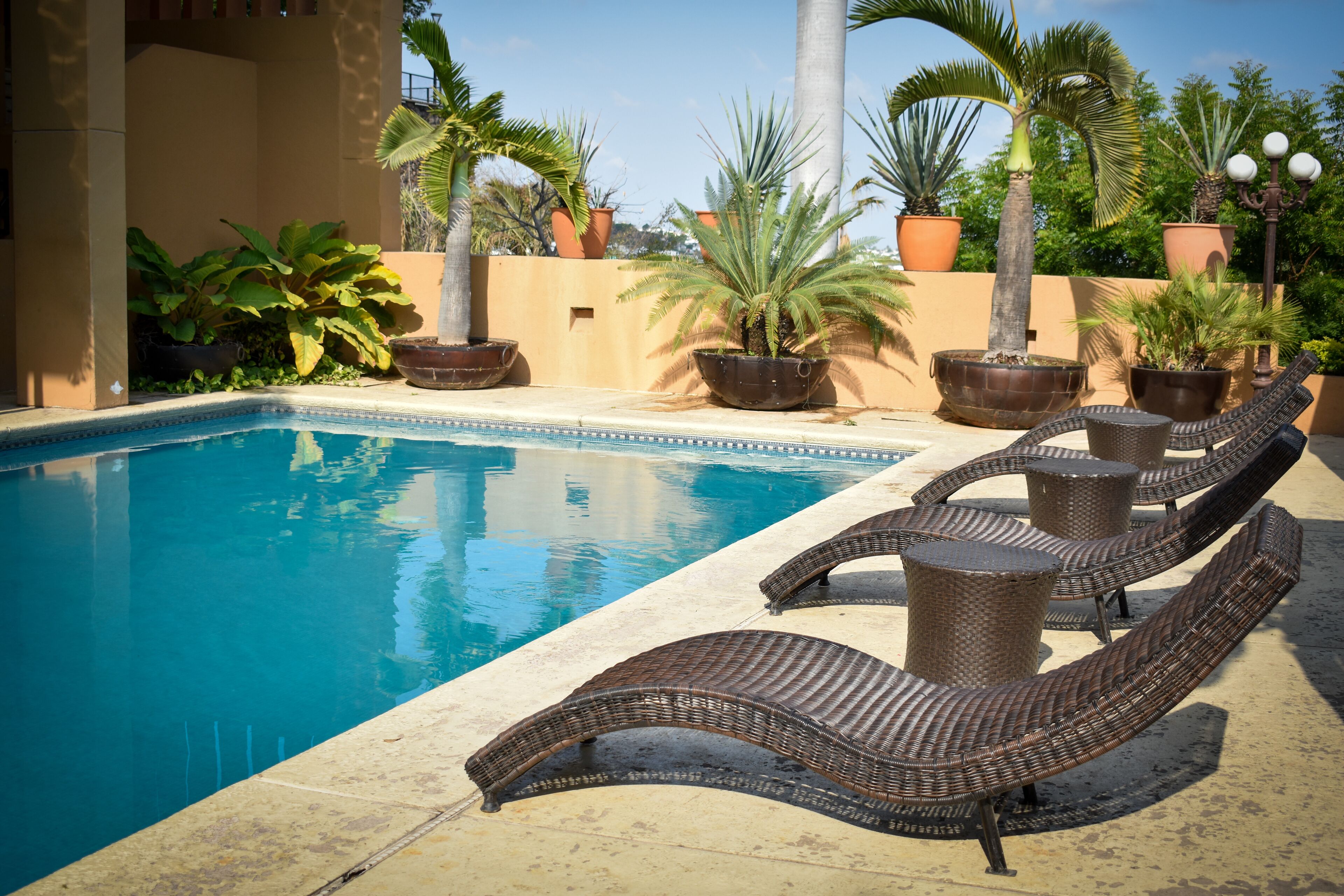 Uma área de piscina com espreguiçadeiras e plantas em vasos.