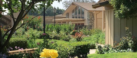 Terraço/pátio
