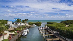 Uma marina com barcos atracados, um edifício com telhado azul e uma vista clara da água.
