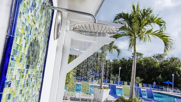 Uma área à beira da piscina com um elemento aquático, uma palmeira e espreguiçadeiras.