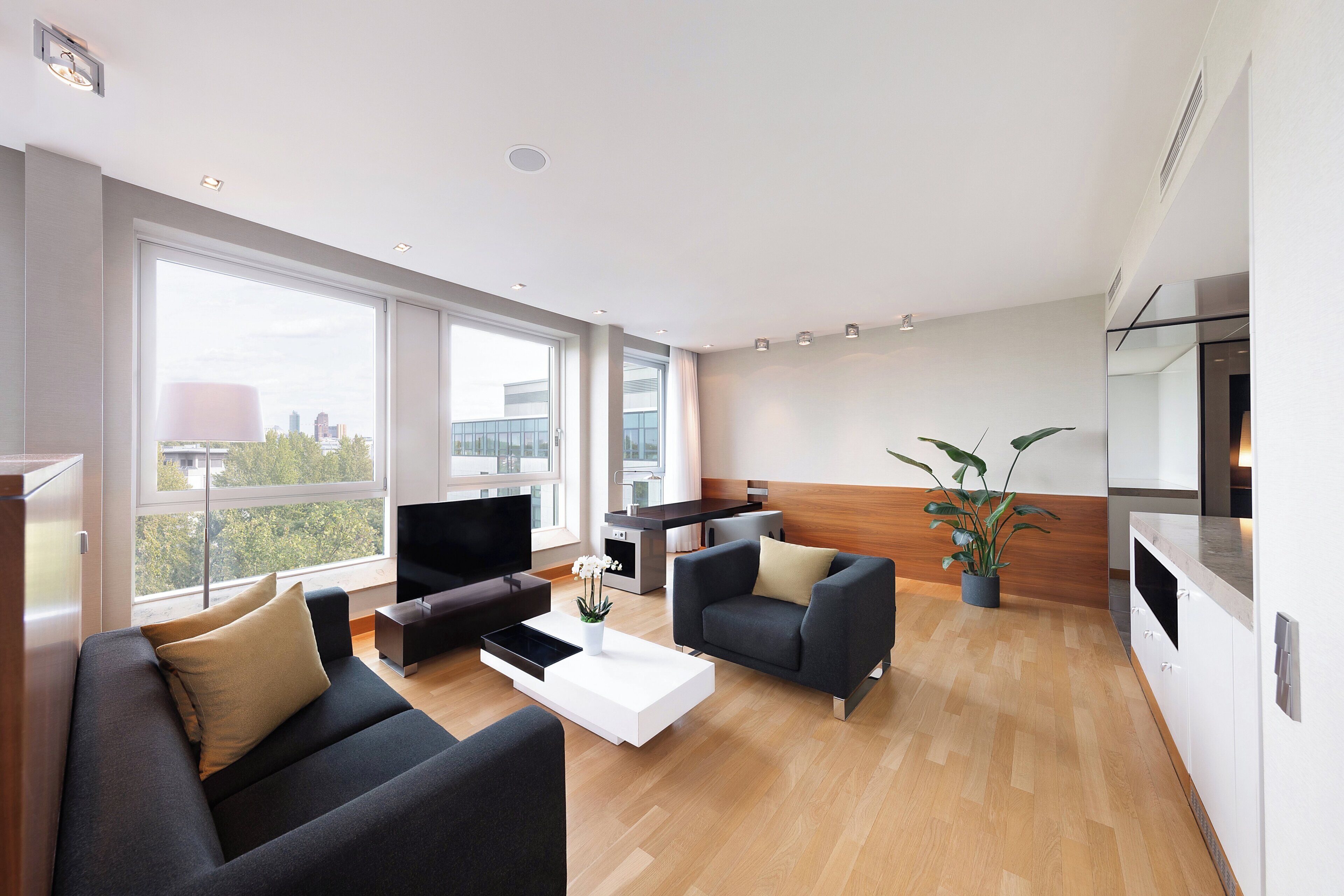 Uma sala de estar moderna com sofá, poltrona e mesa de centro, televisão e área de cozinha com uma planta.