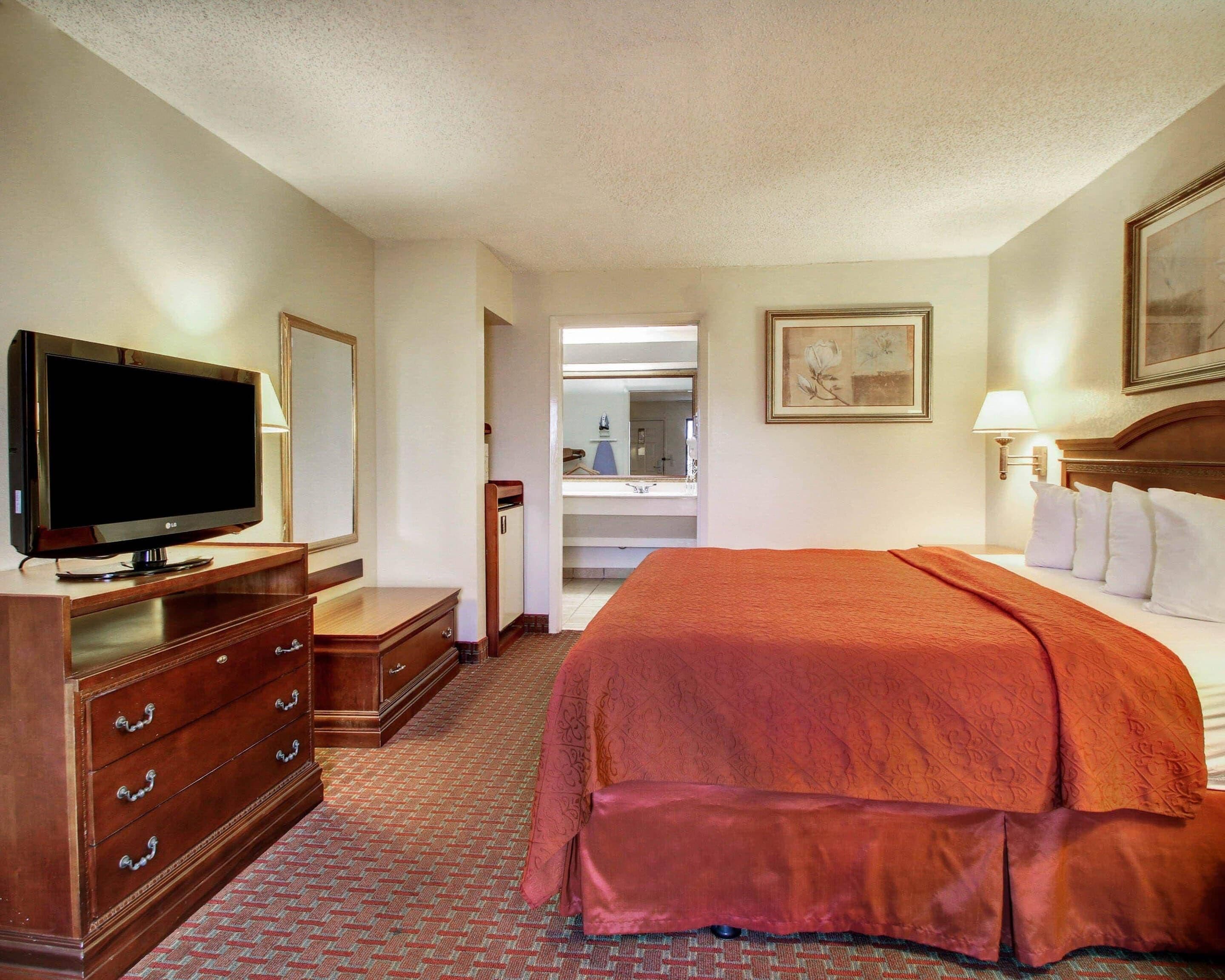 Quarto de hotel com uma cama, televisão, penteadeira, espelho e um quadro na parede.