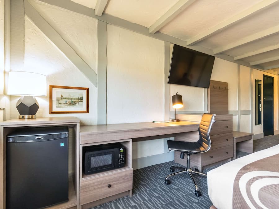 Quarto de hotel com escrivaninha, micro-ondas, frigorífico, cadeira, cama, televisão e um quadro na parede.