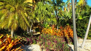 Um jardim tropical com palmeiras, plantas coloridas variadas e uma área de estar com cadeiras.