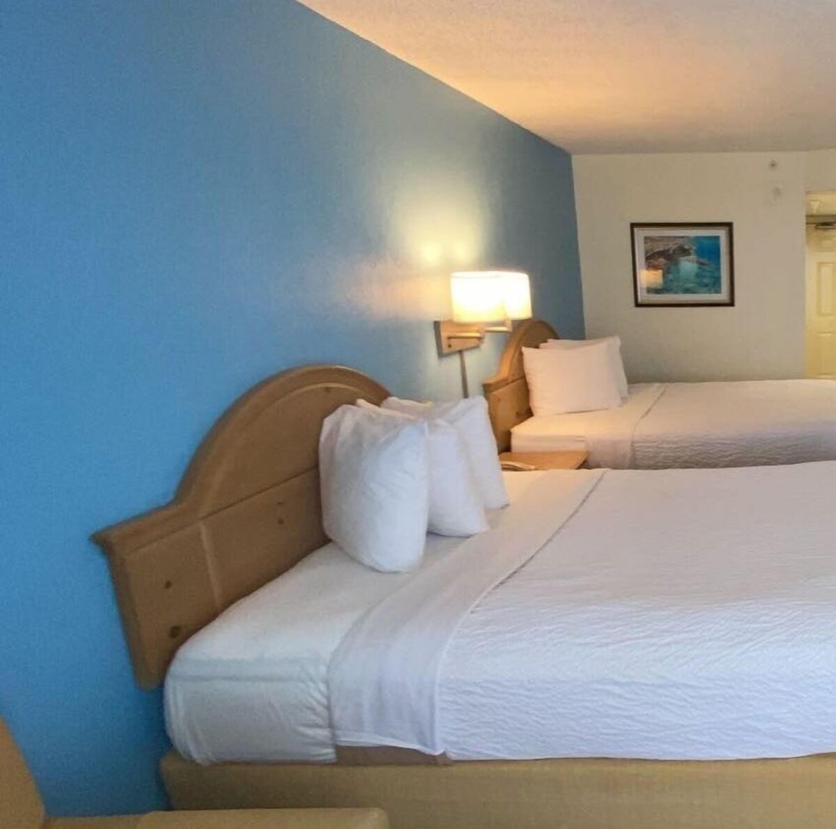 Tropical Winds Oceanfront Hotel Reviews, Deals & Photos 2023 - Expedia