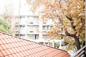 Um edifício residencial com telhado de telhas e uma árvore com folhas de outono em primeiro plano.