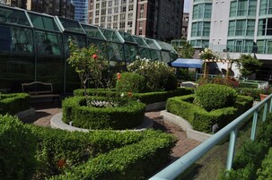 Um jardim urbano moderno com sebes bem aparadas, um banco e uma estrutura de vidro.
