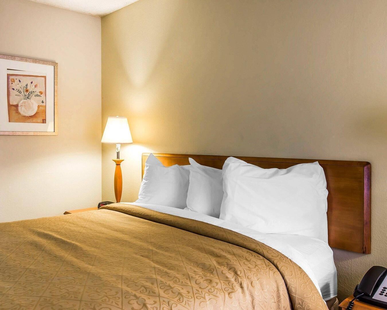 Quarto de hotel com uma cama, abajur, telefone e uma obra de arte emoldurada na parede.