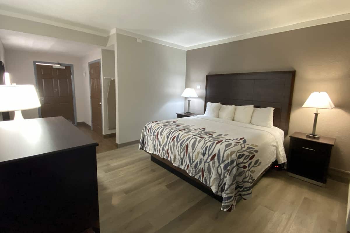 Quarto Superior, 1 cama king-size, acessível, não fumadores (Roll-in Shower) | Edredões de penas, secretária, cortinas/cortinados opacos