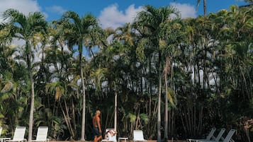 Comodidades da propriedade