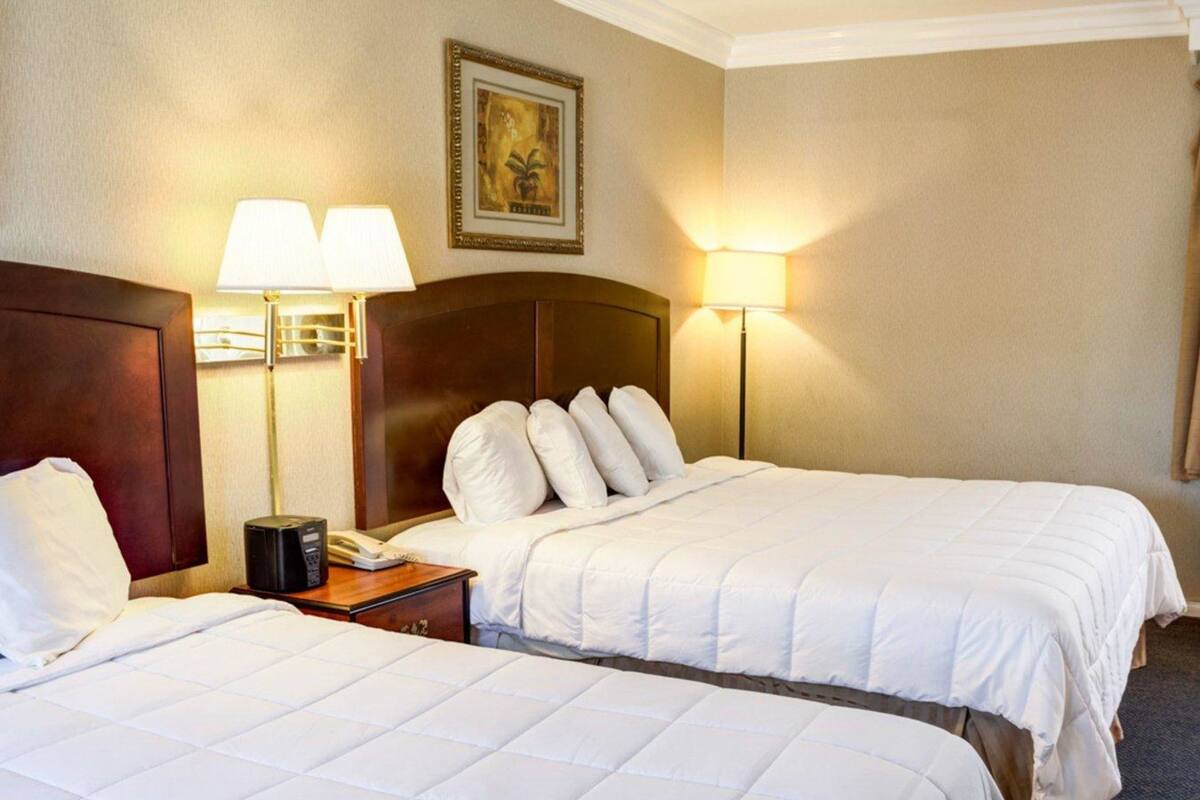 Quarto de hotel com duas camas, cada uma com roupa de cama branca, cabeceira de madeira, abajures e um quadro na parede.