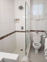 Um banheiro com chuveiro em box de vidro, vaso sanitário e pia.