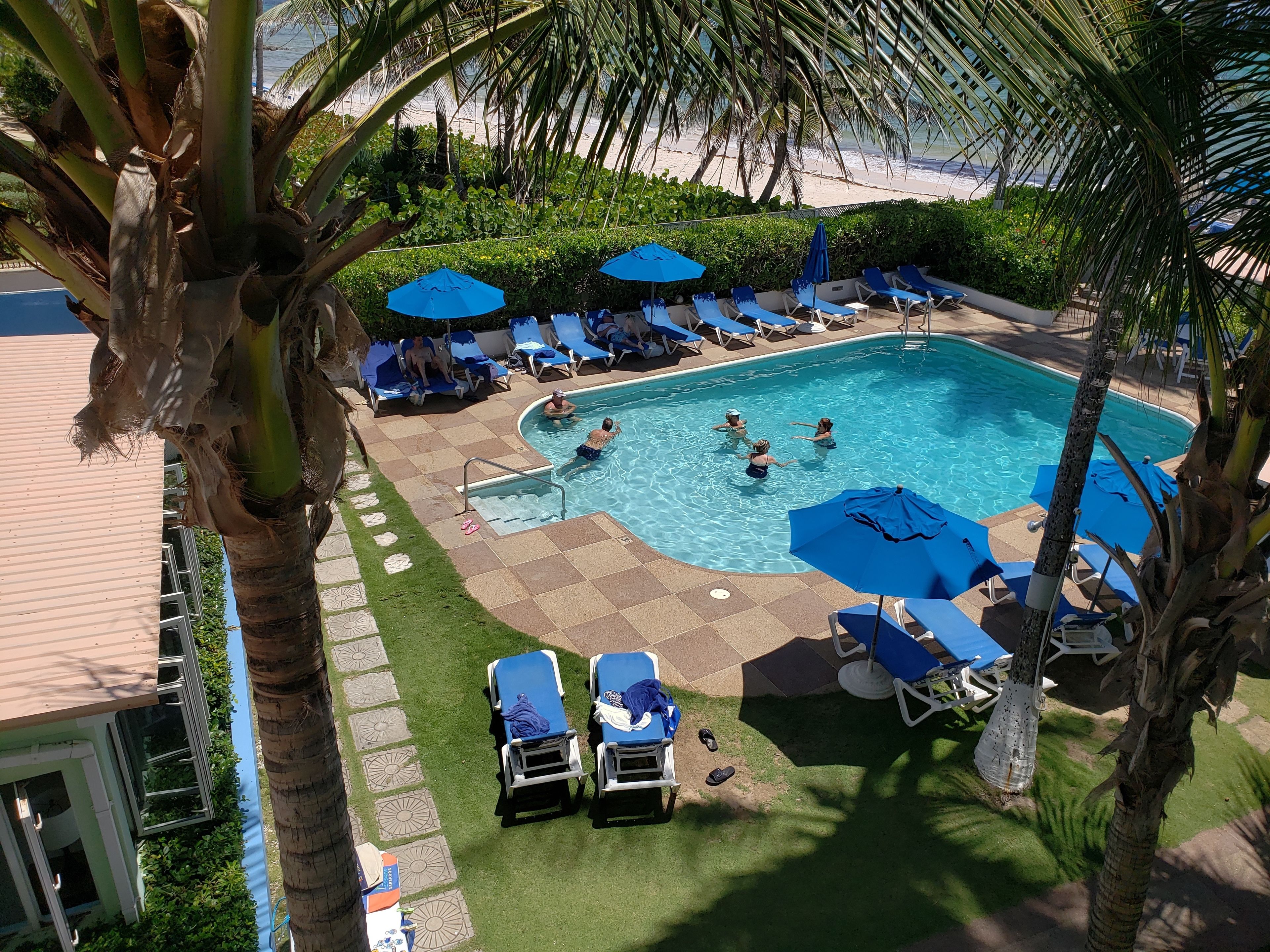 Área da piscina com espreguiçadeiras e guarda-sóis, rodeada por palmeiras e vista para a praia.