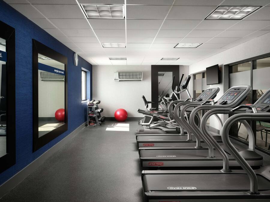 Uma academia com esteiras, halteres e bolas de exercício.
