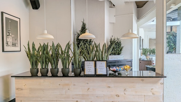 Uma receção com design em painel de madeira, plantas em vasos, placas de boas-vindas emolduradas e iluminação pendente.