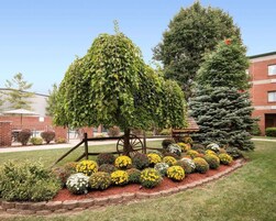 Um jardim bem cuidado com diversos arbustos e uma grande árvore, um carrinho de madeira e um prédio de tijolos ao fundo.