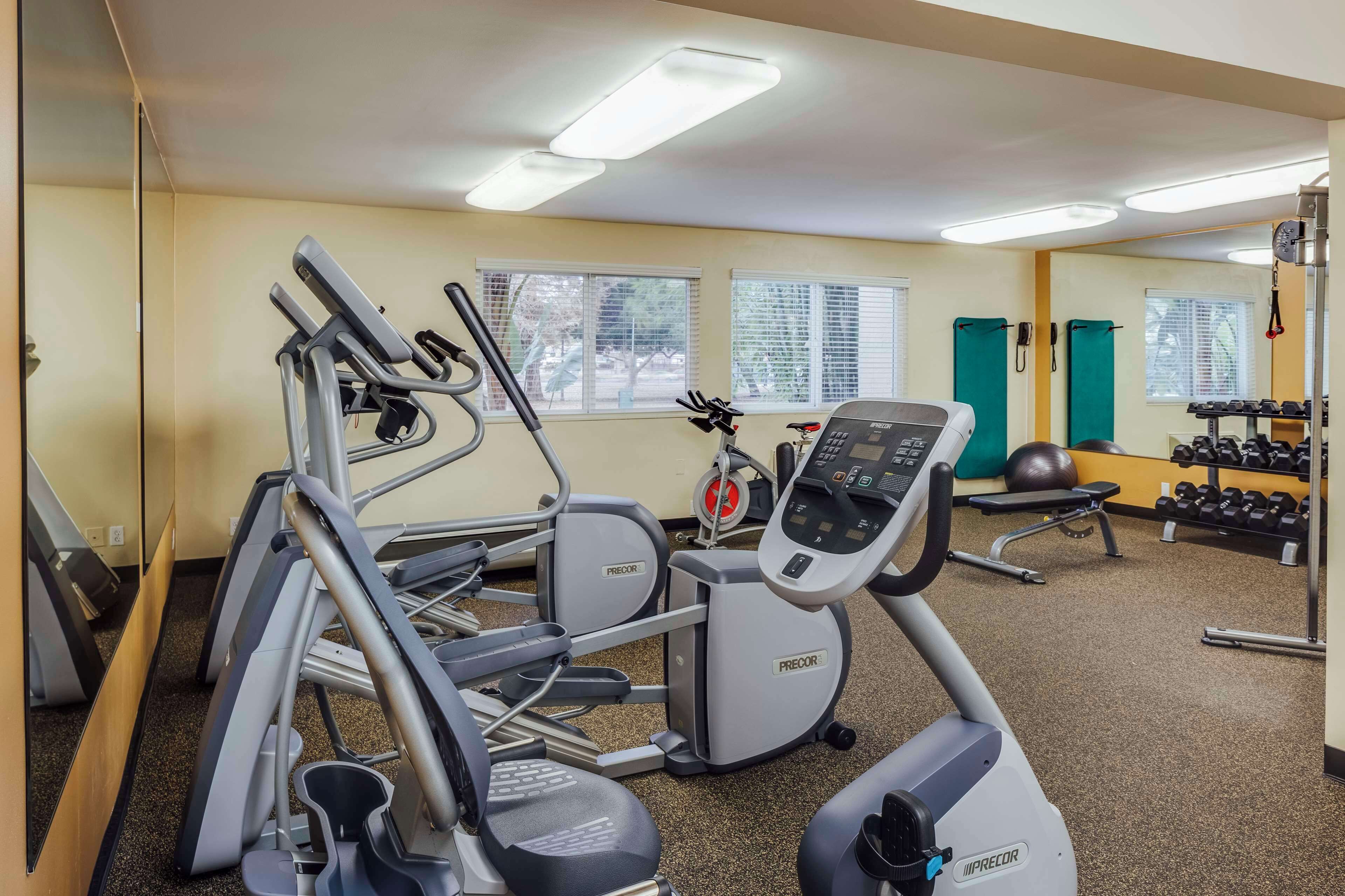 Uma academia com diversos equipamentos de cardio, halteres e um banco.
