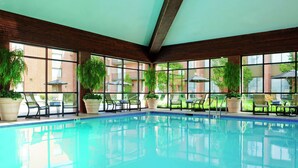 Uma grande piscina interior com água azul cristalina, rodeada por espreguiçadeiras e plantas em vasos.
