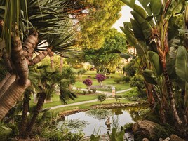 Jardim