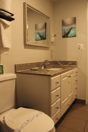 Suite-Estúdio Standard | Secretária, ferro/tábua de engomar, Wi-fi grátis 