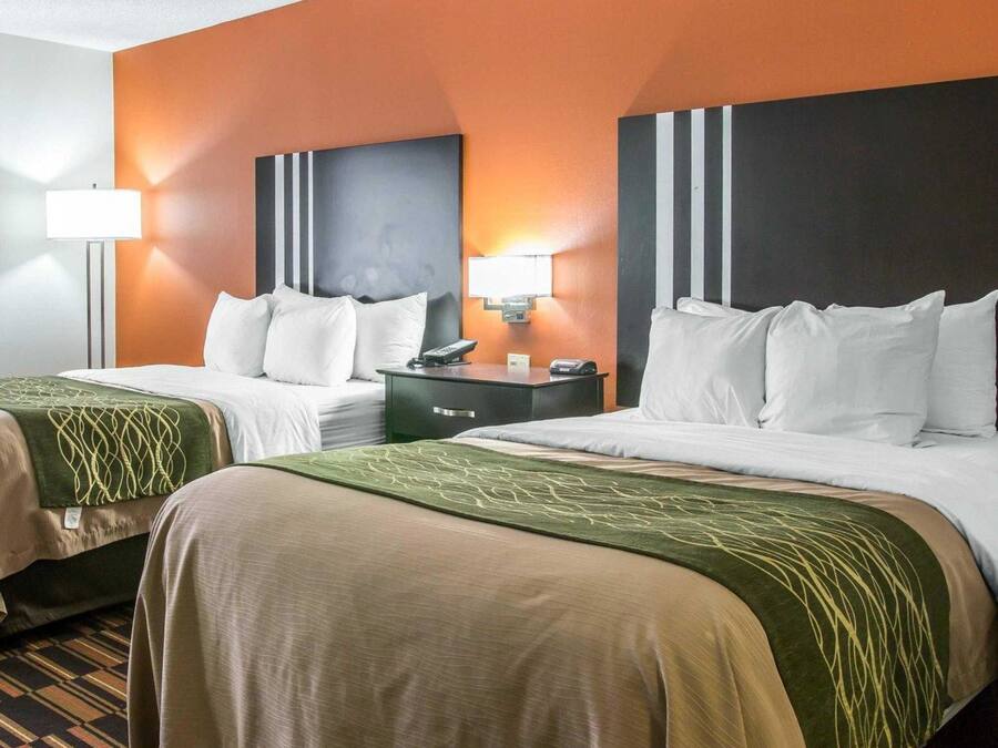Quarto de hotel com duas camas, cada uma com cabeceira, mesa de cabeceira e luminária, além de telefone.
