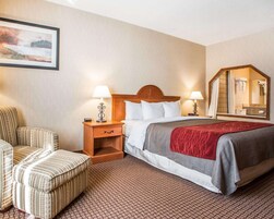 Quarto de hotel com uma cama, duas mesas de cabeceira com luminárias, uma cadeira, um espelho grande e piso coberto por carpete.