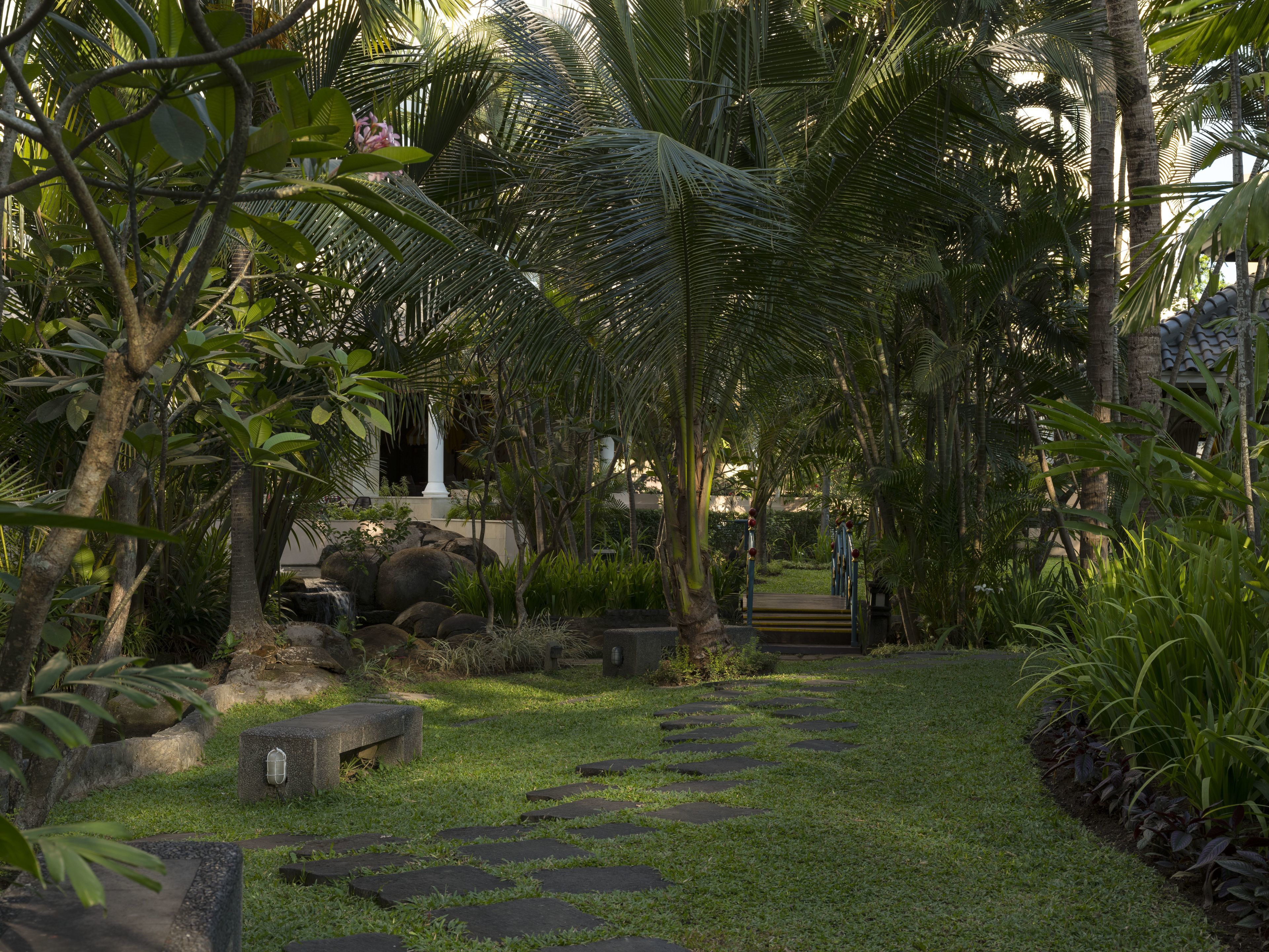 Um caminho de jardim com pedras, palmeiras e um edifício branco ao fundo.