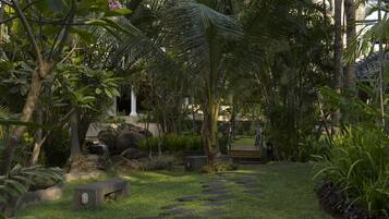 Um caminho de jardim com pedras, palmeiras e um edifício branco ao fundo.