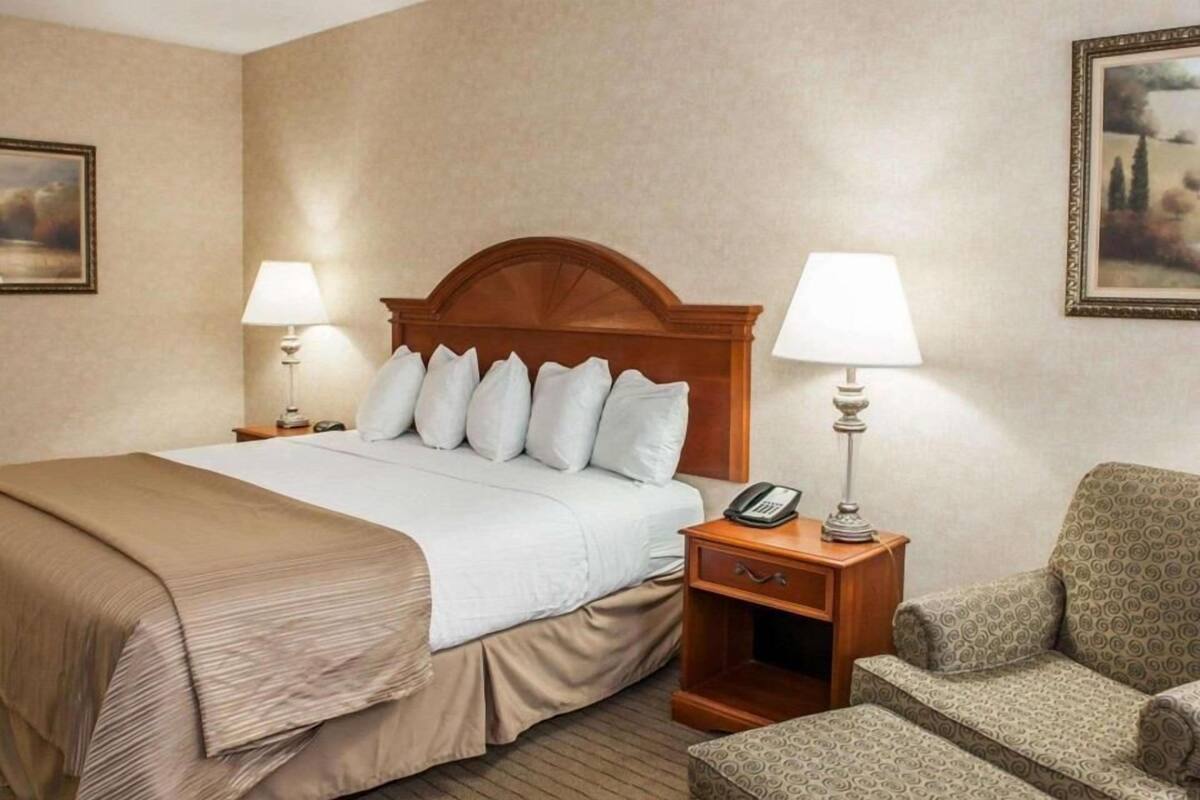 Quarto de hotel com cama, duas luminárias de cabeceira, telefone, poltrona estampada e um banquinho estampado.