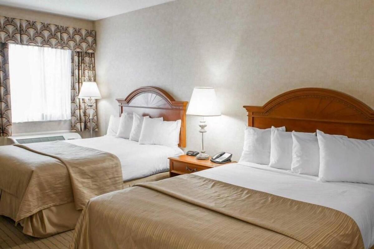 Quarto de hotel com duas camas, uma mesa de cabeceira com luminária, telefone e janela com cortinas.