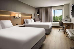 Roupa de alta qualidade, com decoração personalizada