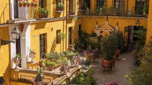 Um pátio com edifícios amarelos, plantas em vasos e um caminho de pedras.