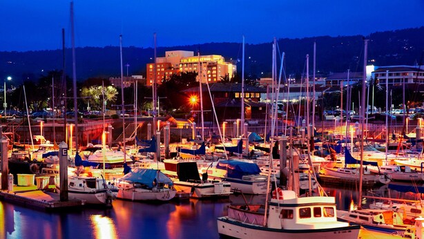 Uma marina com vários barcos atracados, um hotel ao fundo e um ambiente tranquilo à beira-mar.