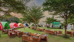 Um camping com tendas, móveis de madeira e árvores.
